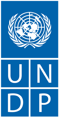 G20 Sustainable Finance Working Group - G20SFWG