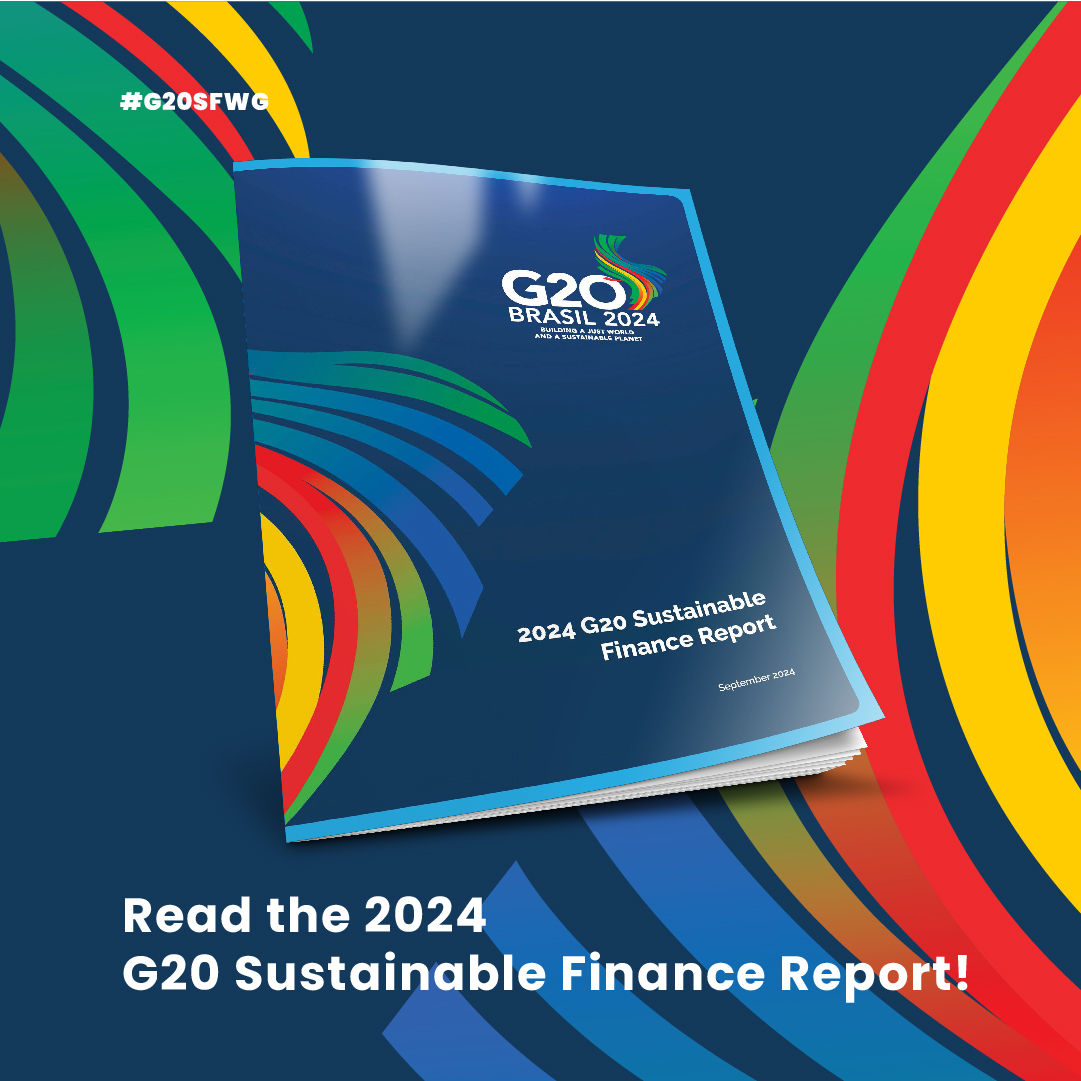 A Snapshot of 2024 G20 SFWG Work as the Brazilian G20 Presidency ...